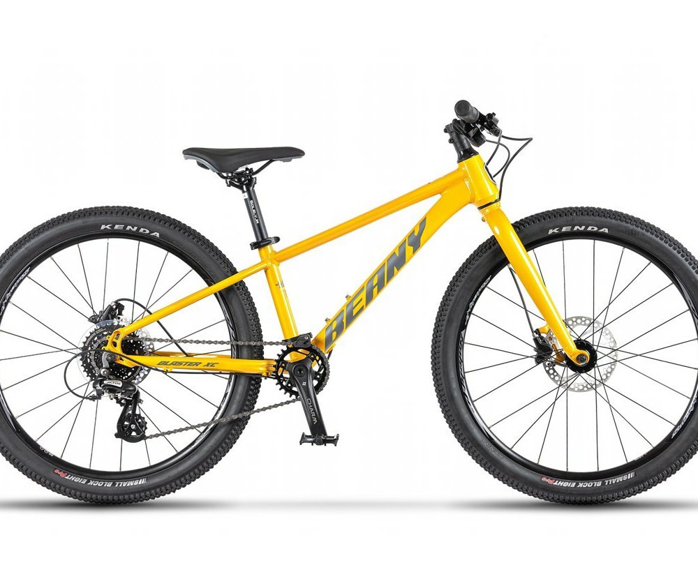 Beany Blaster XC 24 gold 2024