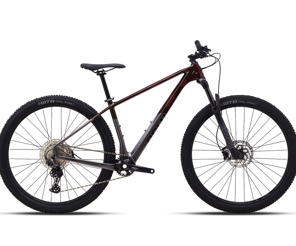 Polygon Syncline C3 brown/charcoal 1x12 2025, M